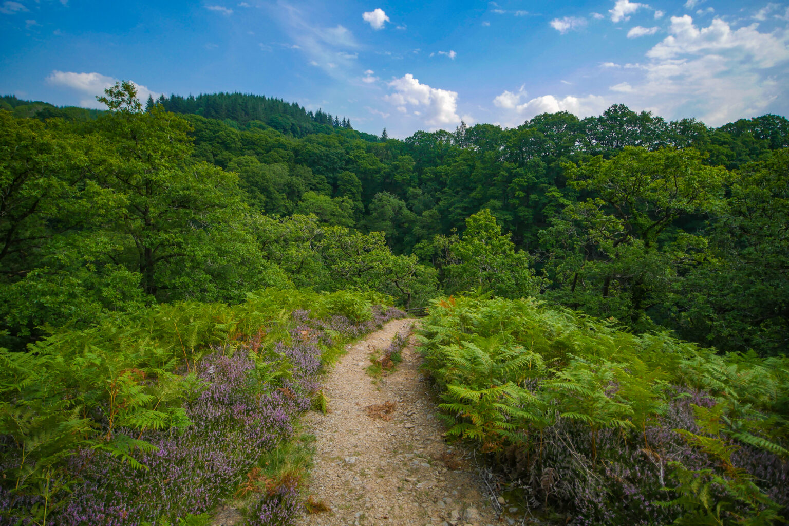Four Waterfalls Walk | Waterfall Country Wales